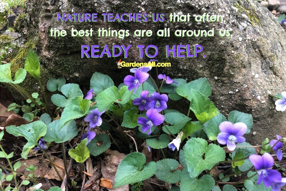 Nature Nurtures the Nature in Us - GardensAll