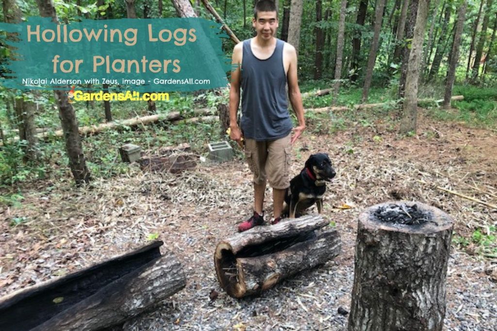 Ideas for Strawberry Planters - DIY and to Buy - GardensAll