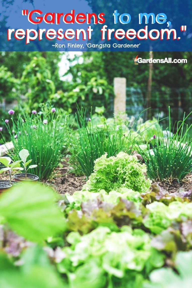 Garden Memes, Quotes and Sayings to Nurture Your Gardener's Soul ...