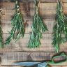 Drying Rosemary and Other Herbs - Best Ways for Greatest Nutrient Retention