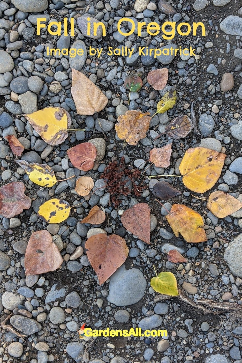 Fall Photos from Around the Country - GardensAll