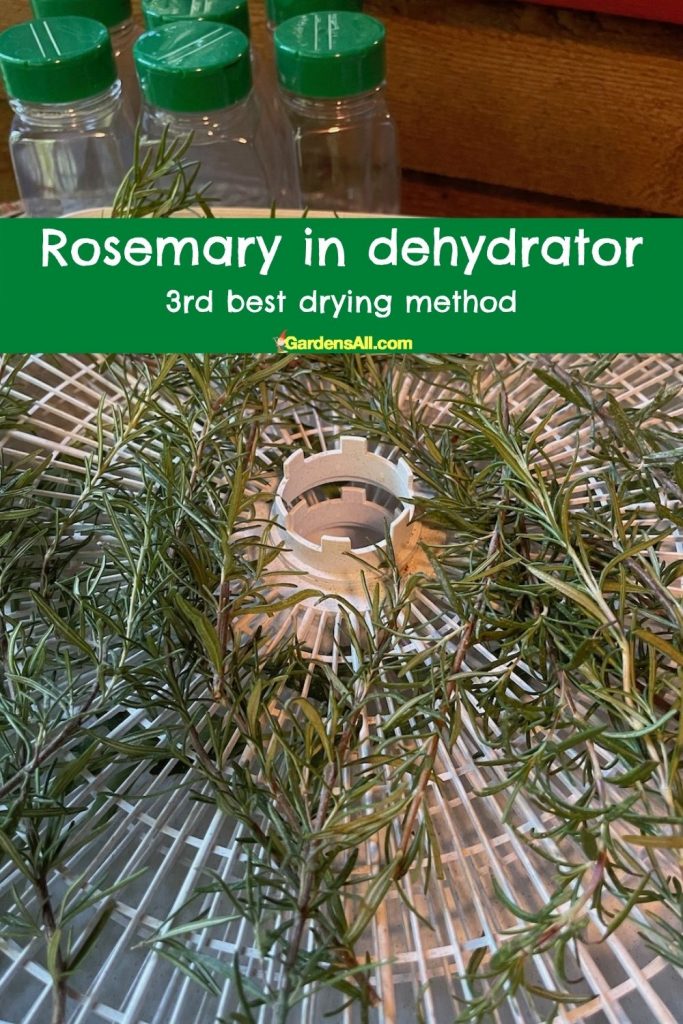 Drying Rosemary and Other Herbs - Best Ways for Greatest Nutrient Retention