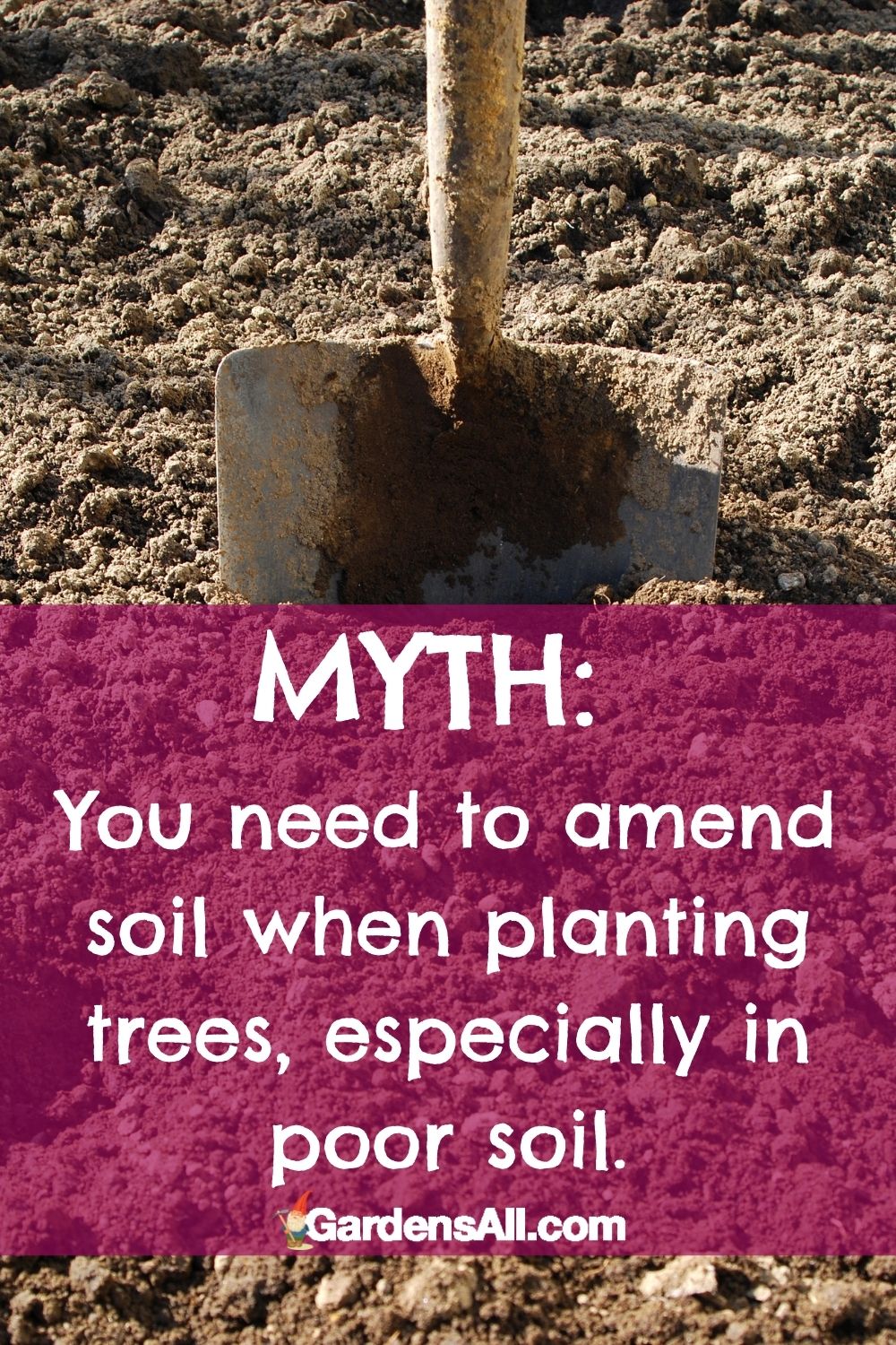 How to Plant a Tree - Everything You Need to Know - GardensAll