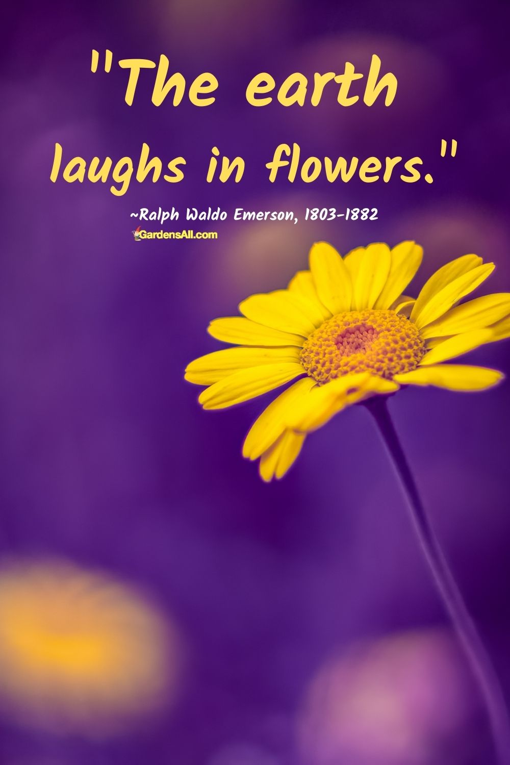 Beautiful Flower Quotes for Inspiration and Reflection on Nature's ...