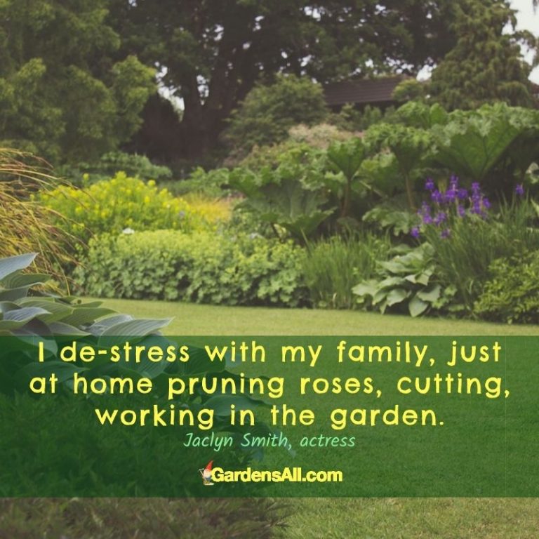 Garden Therapy Increases Well Being, Reduces Stress, Anxiety ...
