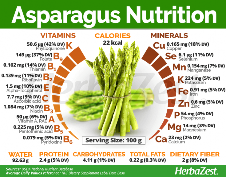 Growing Asparagus in Raised Beds and More - GardensAll