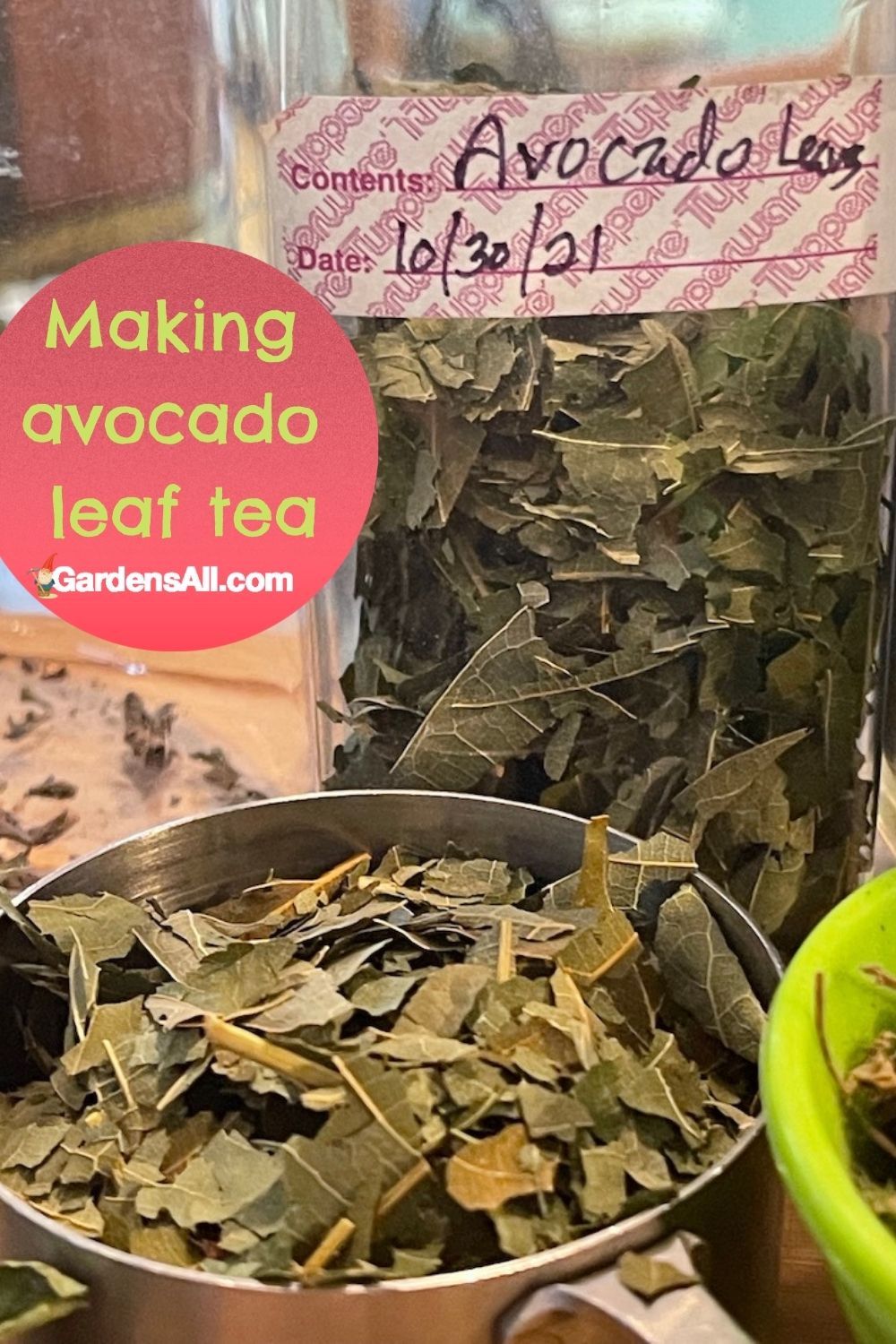 Avocado Leaves Uses and Benefits to Get to Know - GardensAll