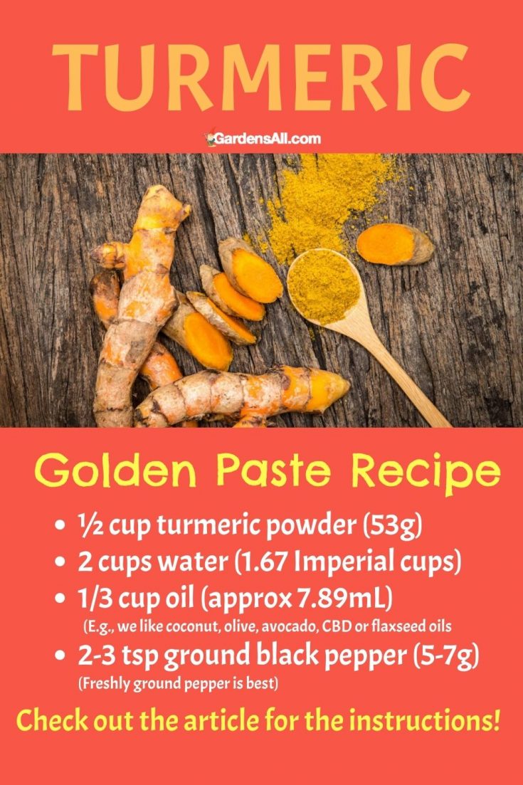 Turmeric Golden Paste Benefits and Recipe to Make Your Own - GardensAll