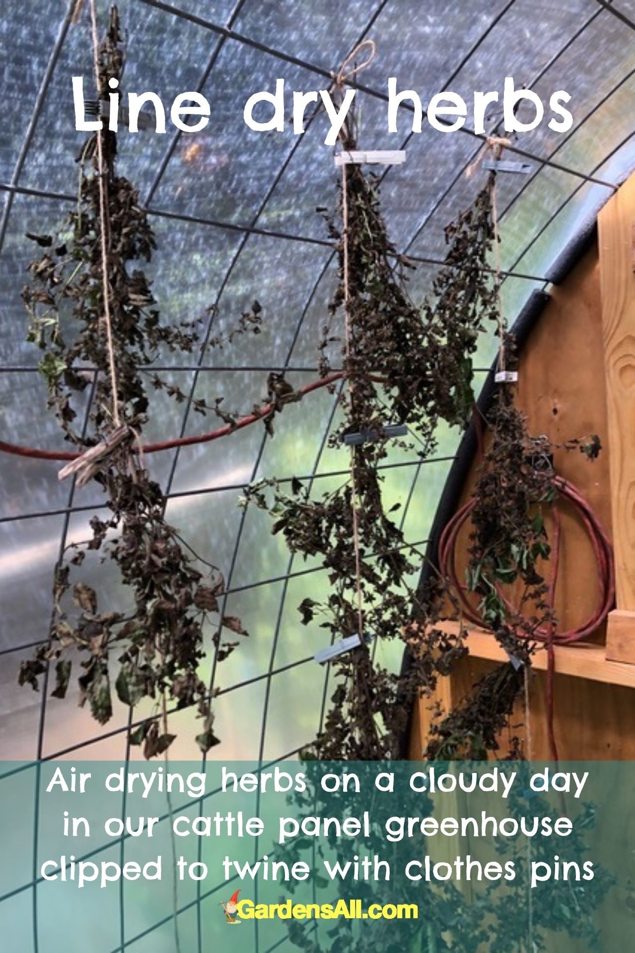 Best Food Dehydrators for Drying Your Garden Harvest - GardensAll