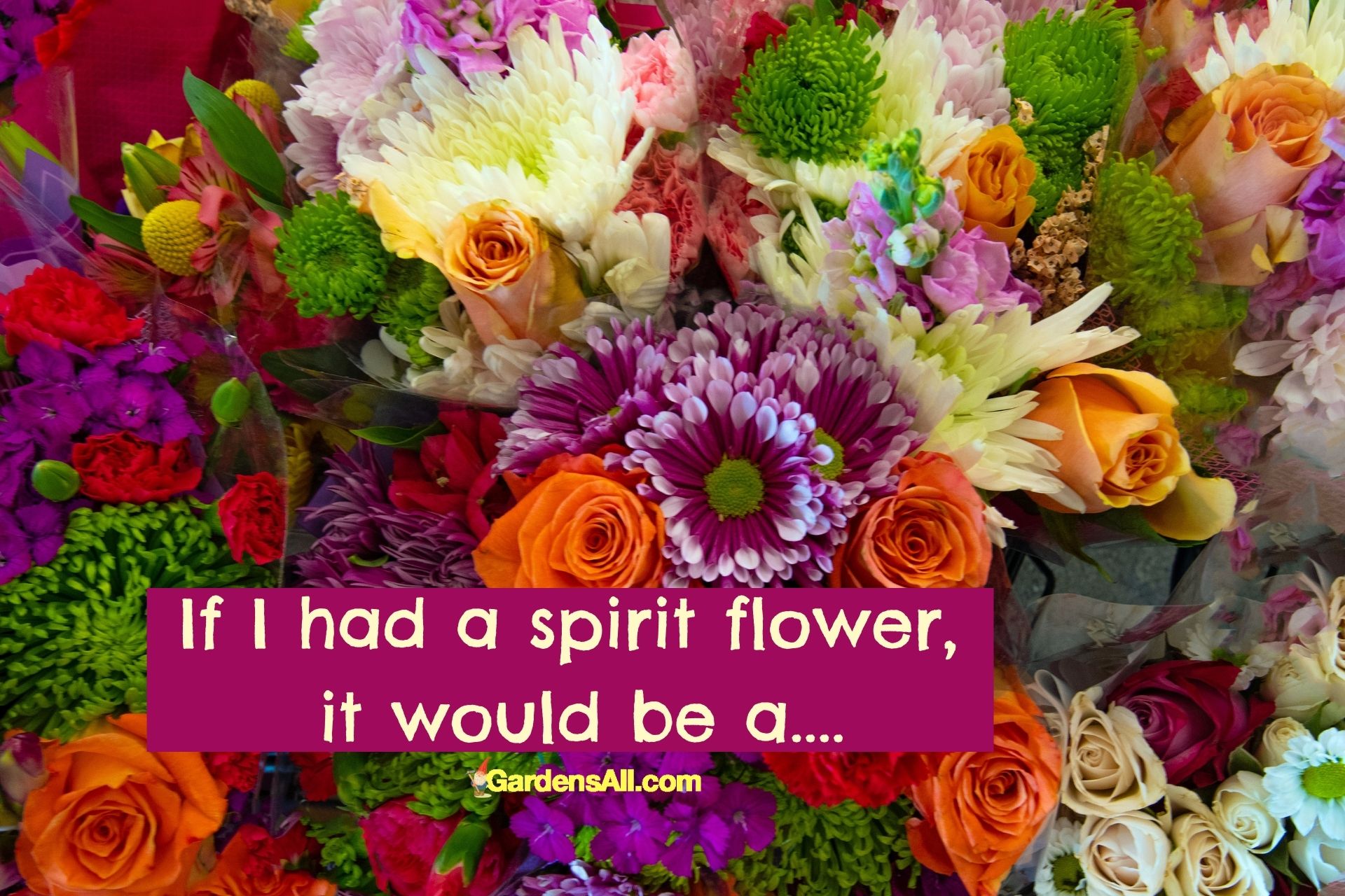 Garden Memes and Sayings for Fun and Inspiration GardensAll GARDENING