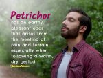 Petrichor - the Fresh Smell of Rain After a Dry Spell - GardensAll