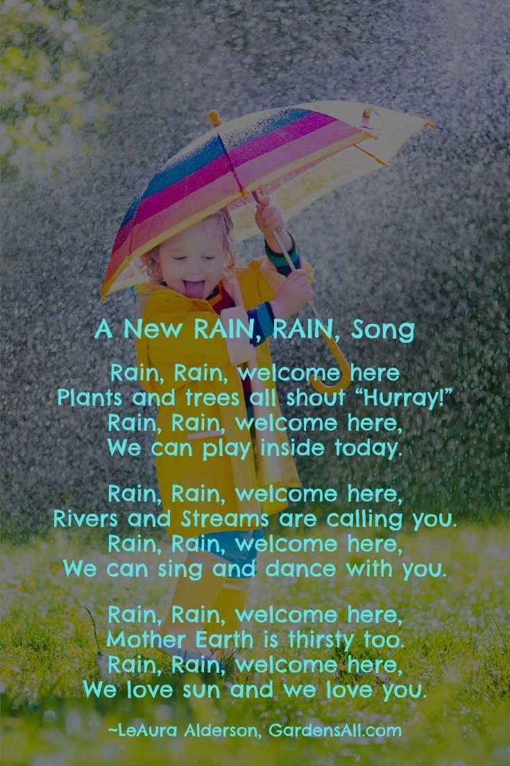 What is the Word for the Smell of Rain? - GardensAll