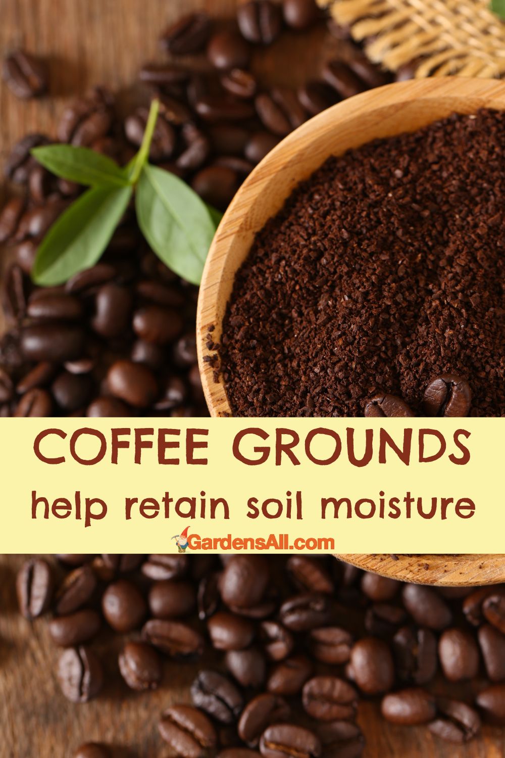 Using Coffee Grounds for Plants - the Good, the Bad and the How To