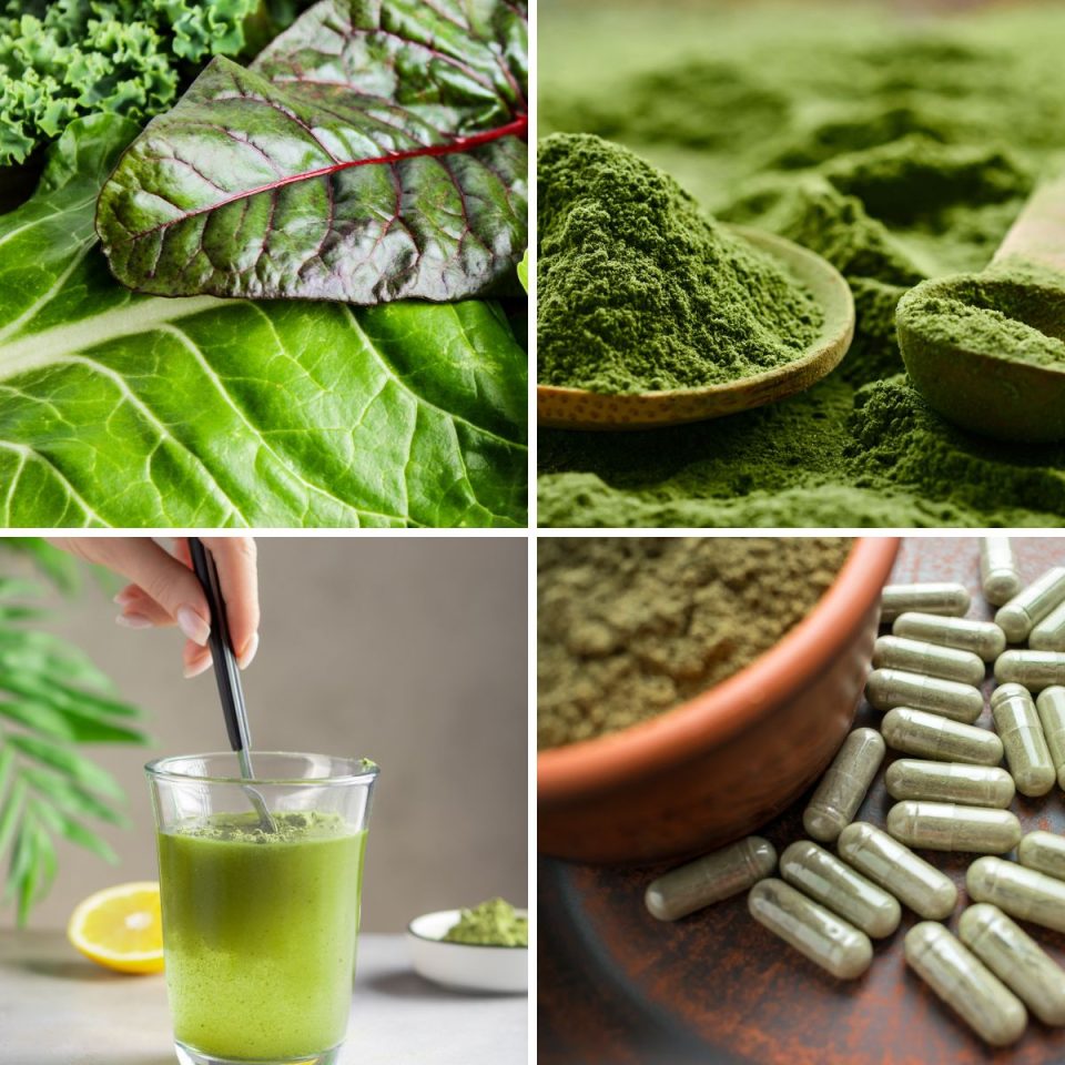DIY Homemade Greens Powder - Uses and How To - GardensAll