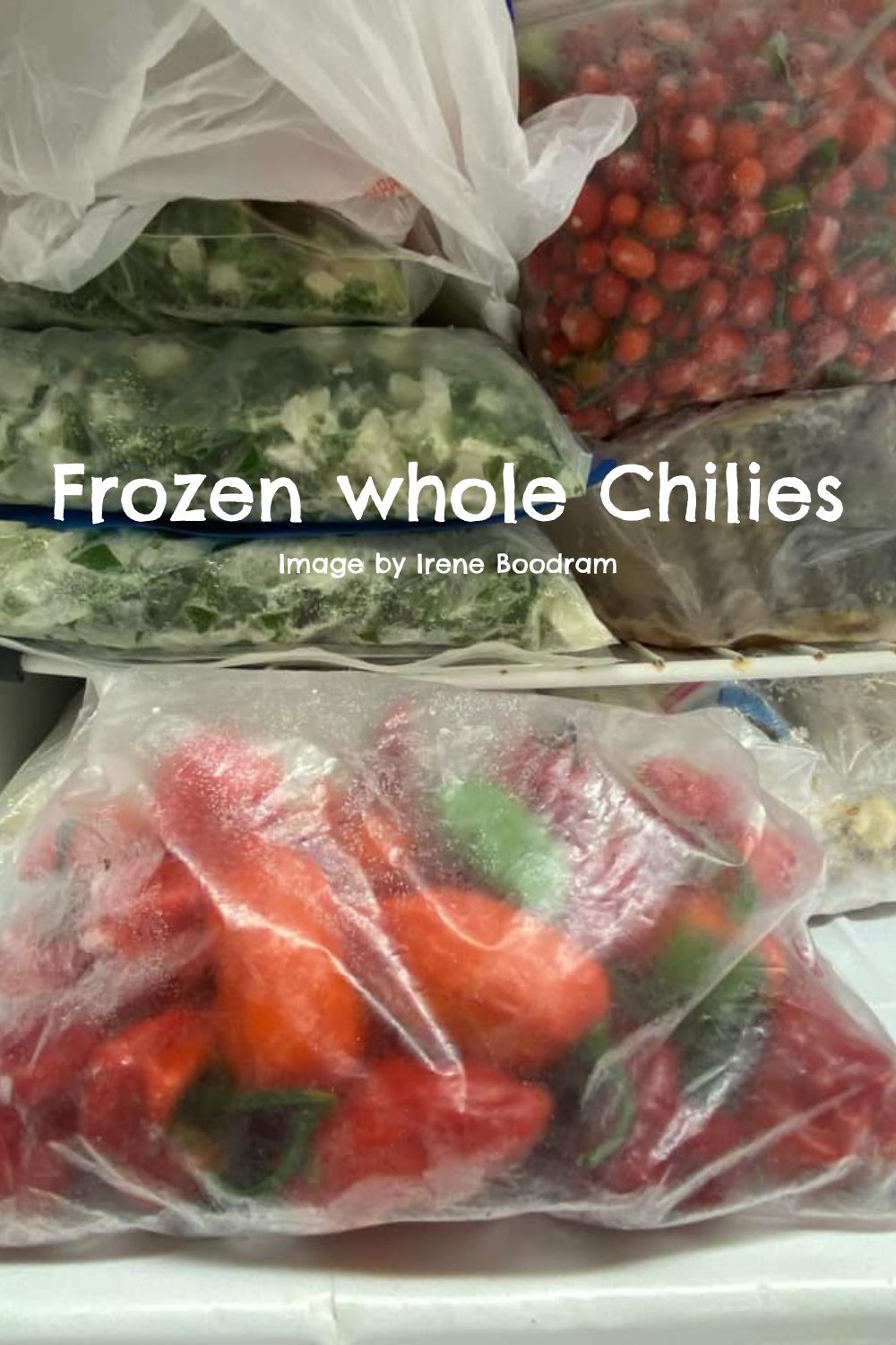 Can You Freeze Chilies? How to Freeze Chillies for Best Results ...