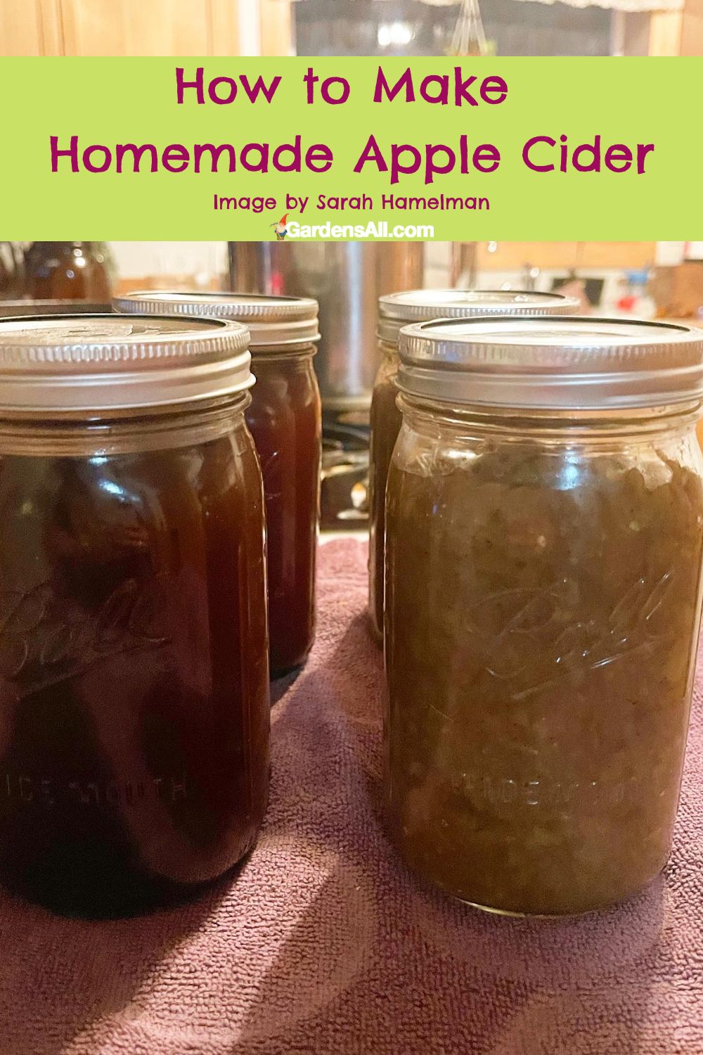 How To Make Homemade Apple Cider - GardensAll