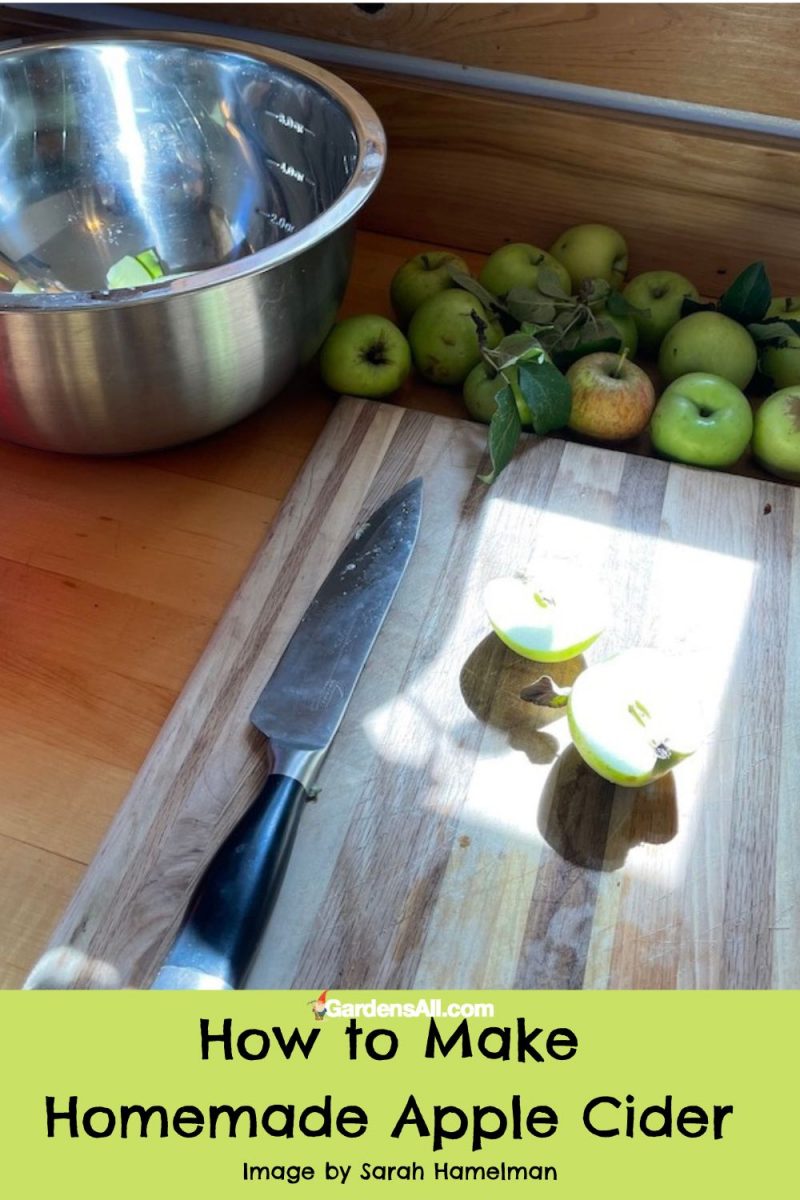 How To Make Homemade Apple Cider - GardensAll