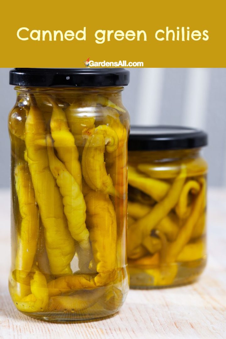 Canning Green Chiles and Other Chili Peppers - GardensAll