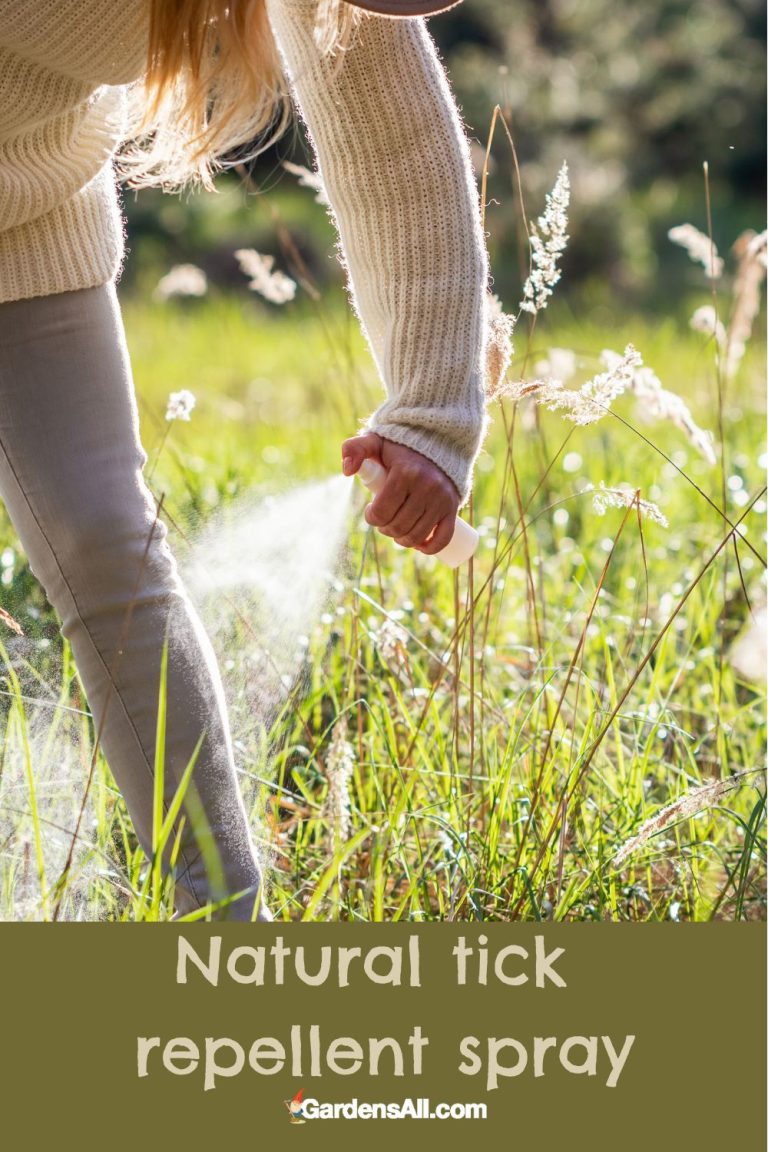 How to Make Homemade Tick Repellent For Dogs and Humans - GardensAll