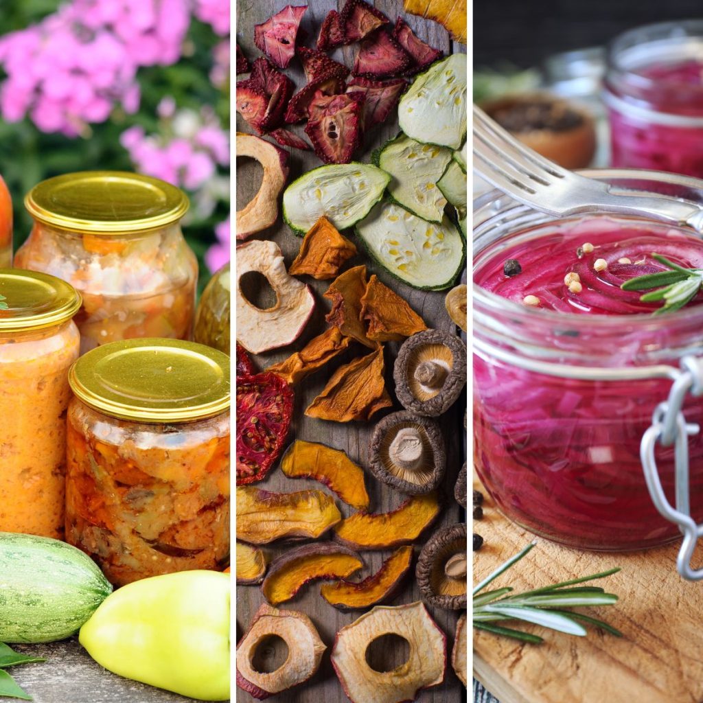 Do You Know the 3 Principles of Food Preservation? - GardensAll