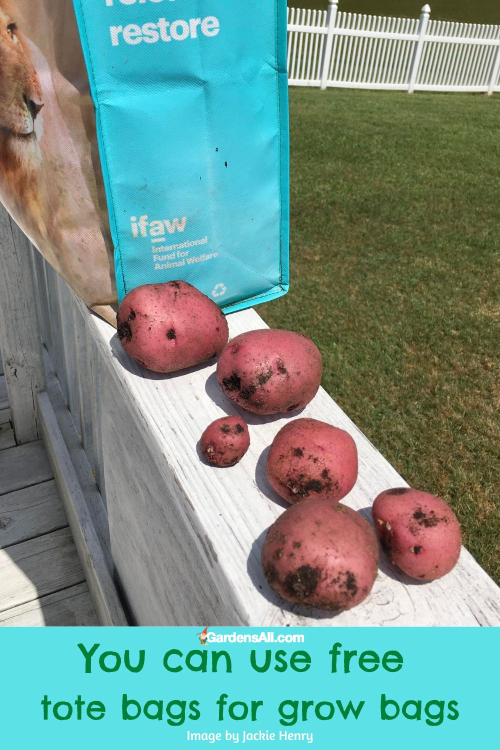 Grow Bag Gardening - a Simple Way to Grow Your Own Food - GardensAll