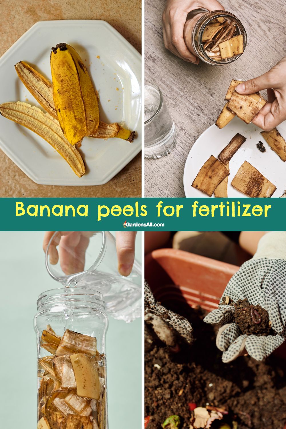 Banana Peels Benefits and Uses for Plants, Animals, & People