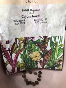 Do You Know When to Plant Okra Seed? - GardensAll