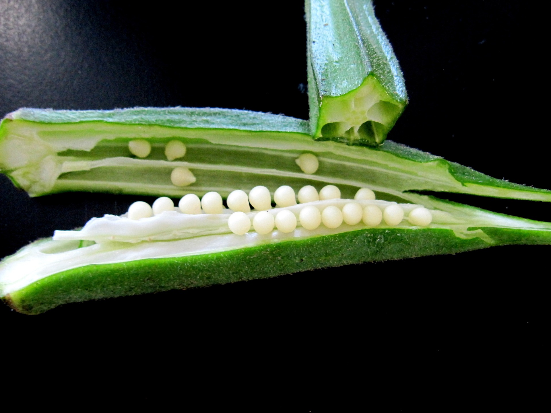 Do You Know When to Plant Okra Seed? - GardensAll