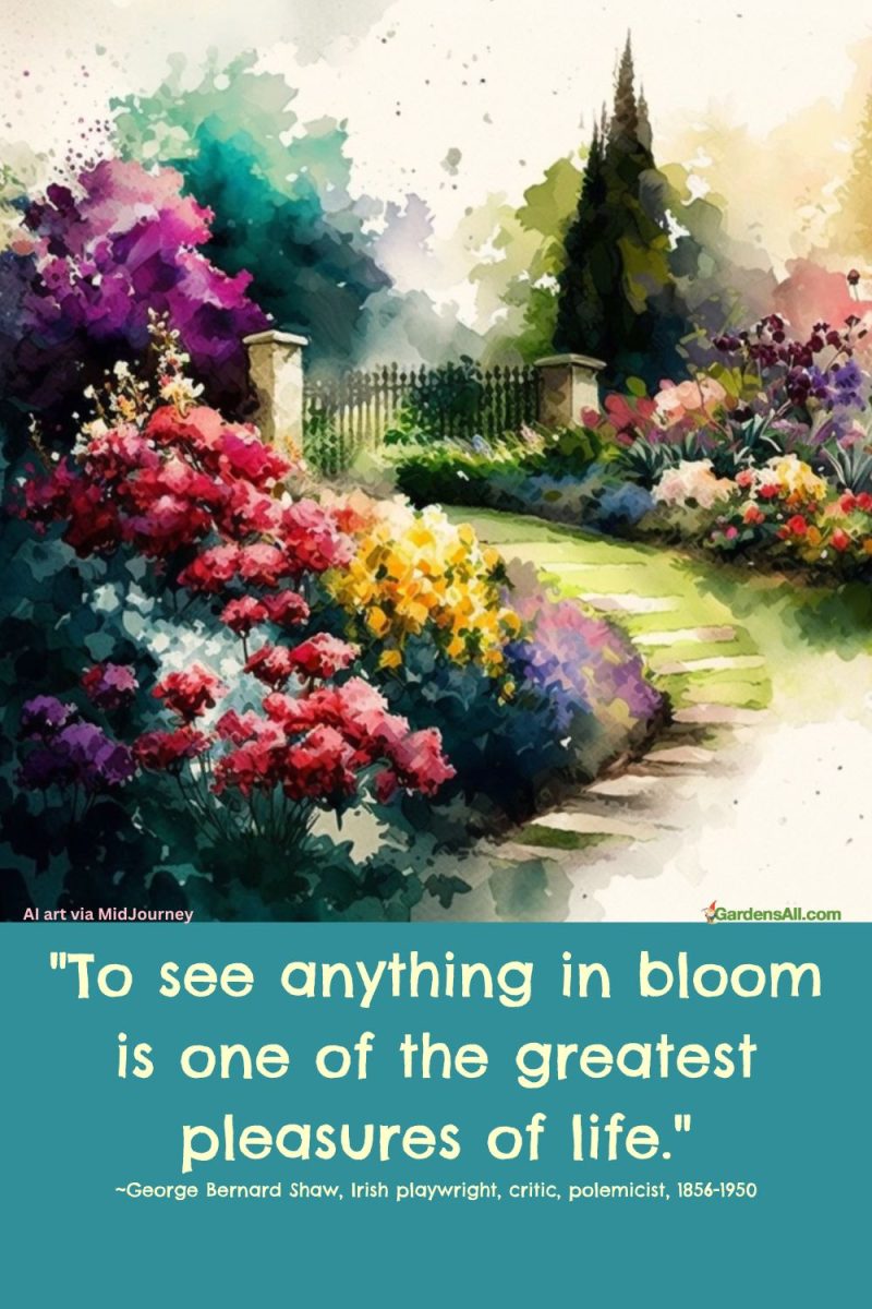 Beautiful Flower Quotes for Inspiration and Reflection on Nature's ...