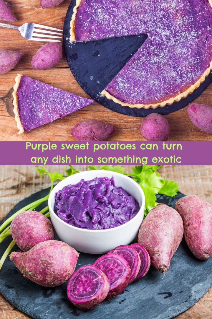 Stokes Purple Sweet Potatoes - a Great Crop for Farmers and Gardeners