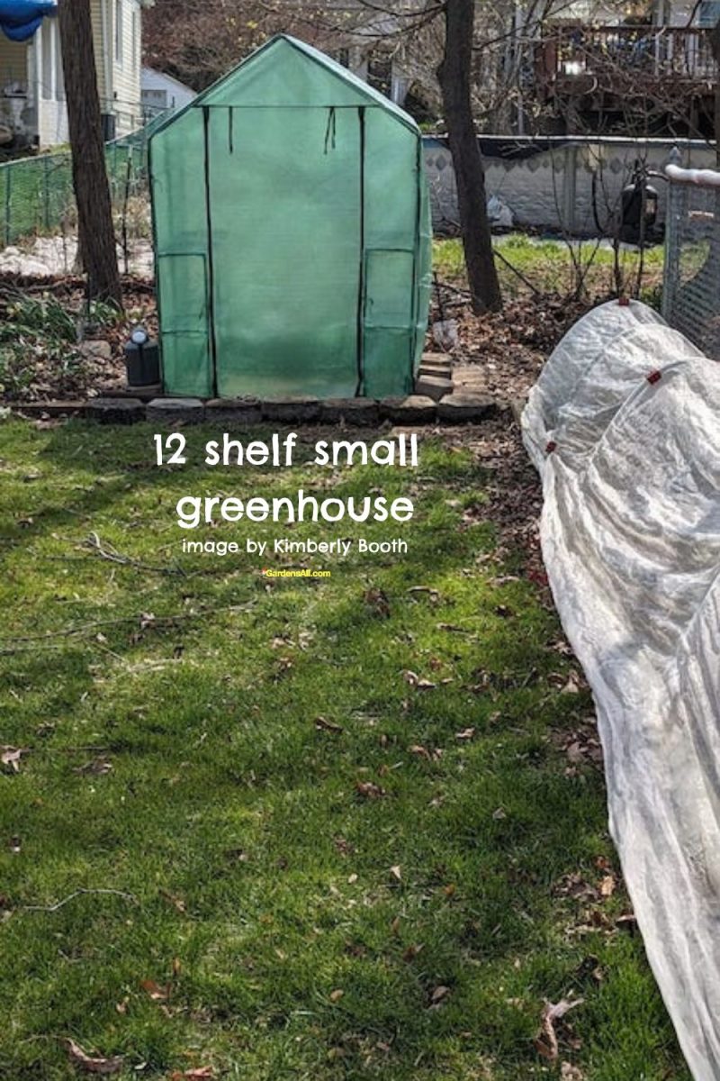 A Small Greenhouse Kit for Outdoors, a Great Size for Beginners ...