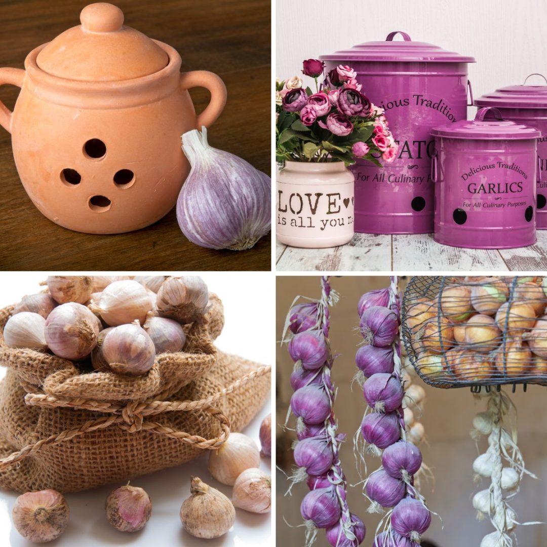 How to Store Cured Garlic Cloves for Longevity - GardensAll