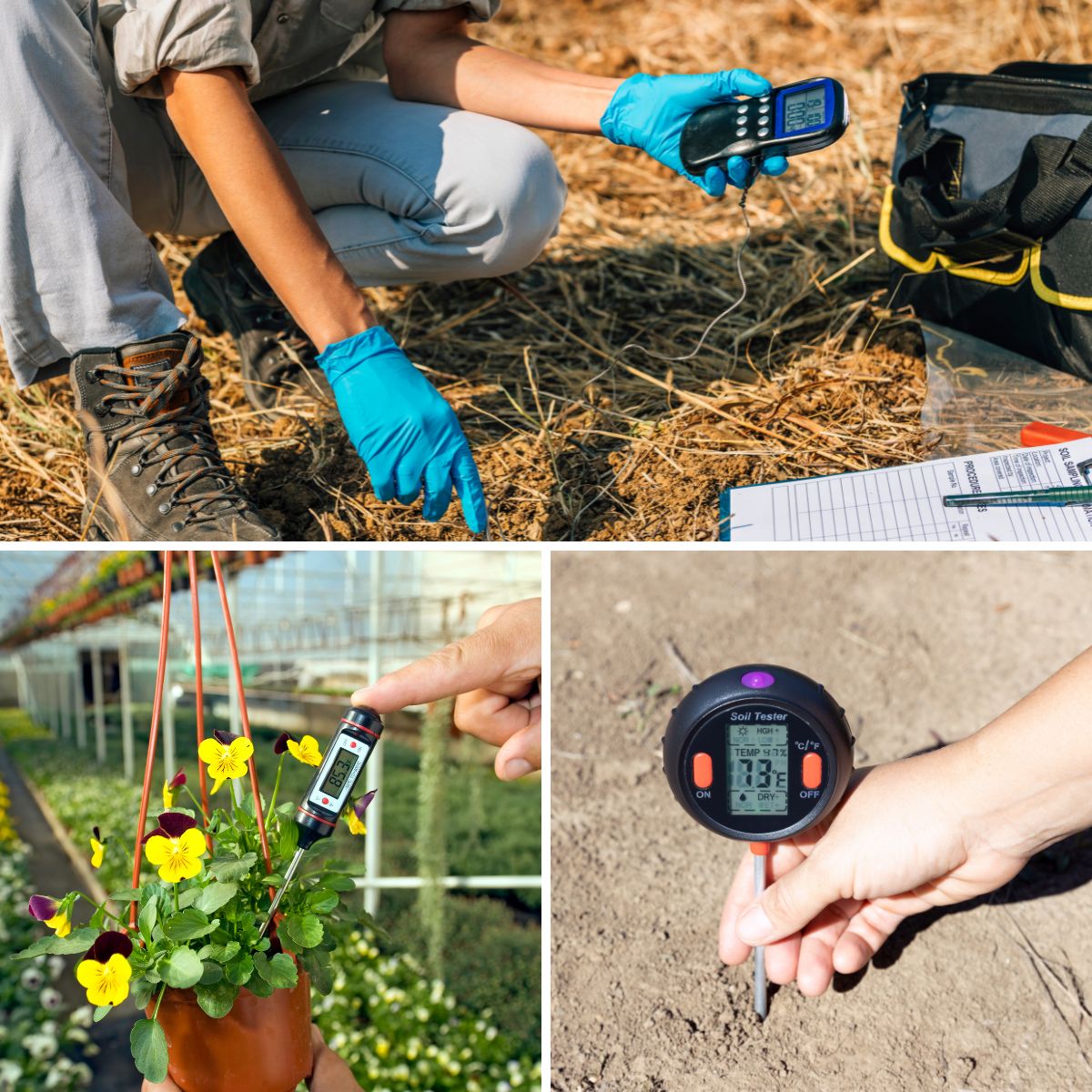 Soil Temperature: An Important Garden Metric to Measure - GardensAll
