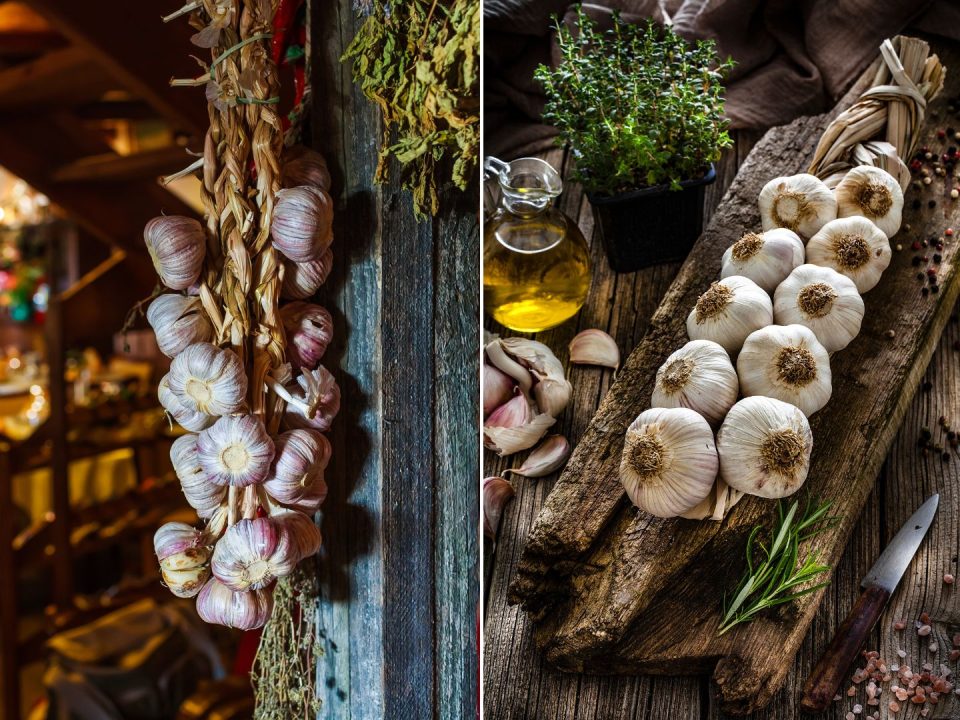 Drying and Curing Garlic After Harvesting - More Than One Way - GardensAll