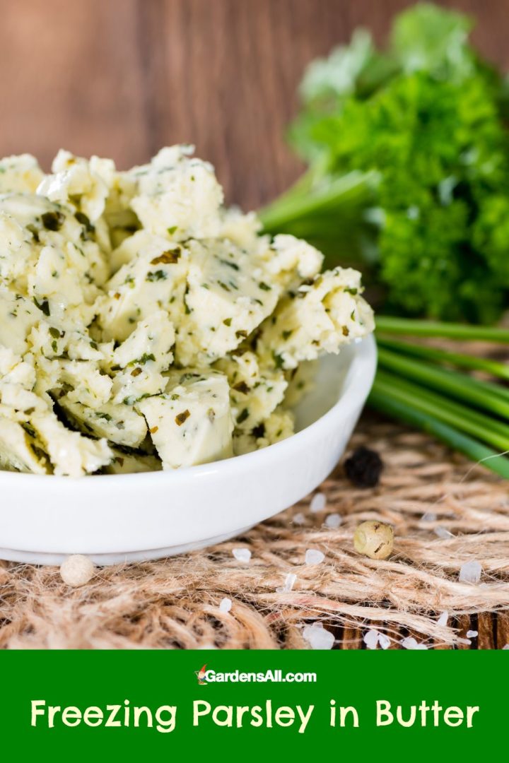 Freezing Parsley From the Garden to Preserve Its Goodness - GardensAll