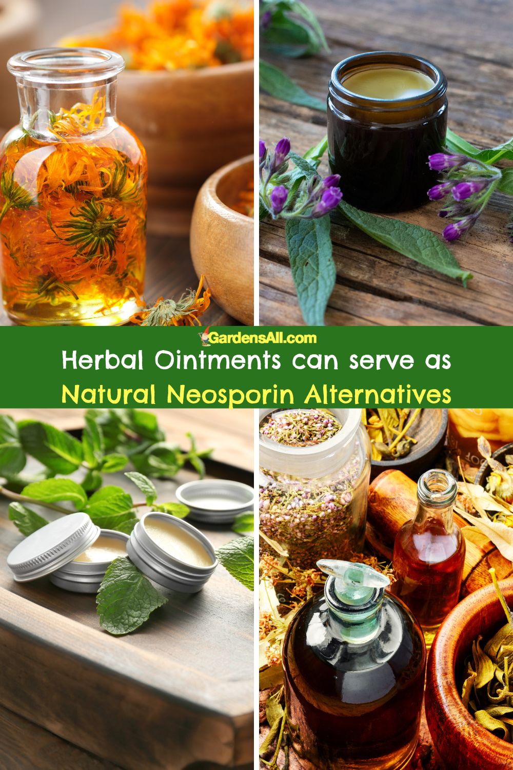 Natural Neosporin Alternatives for Homemade Antibiotic Ointment ...
