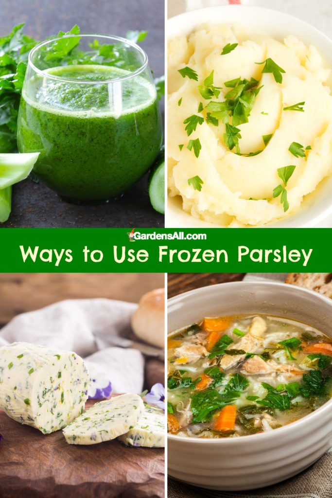 Freezing Parsley From the Garden to Preserve Its Goodness - GardensAll