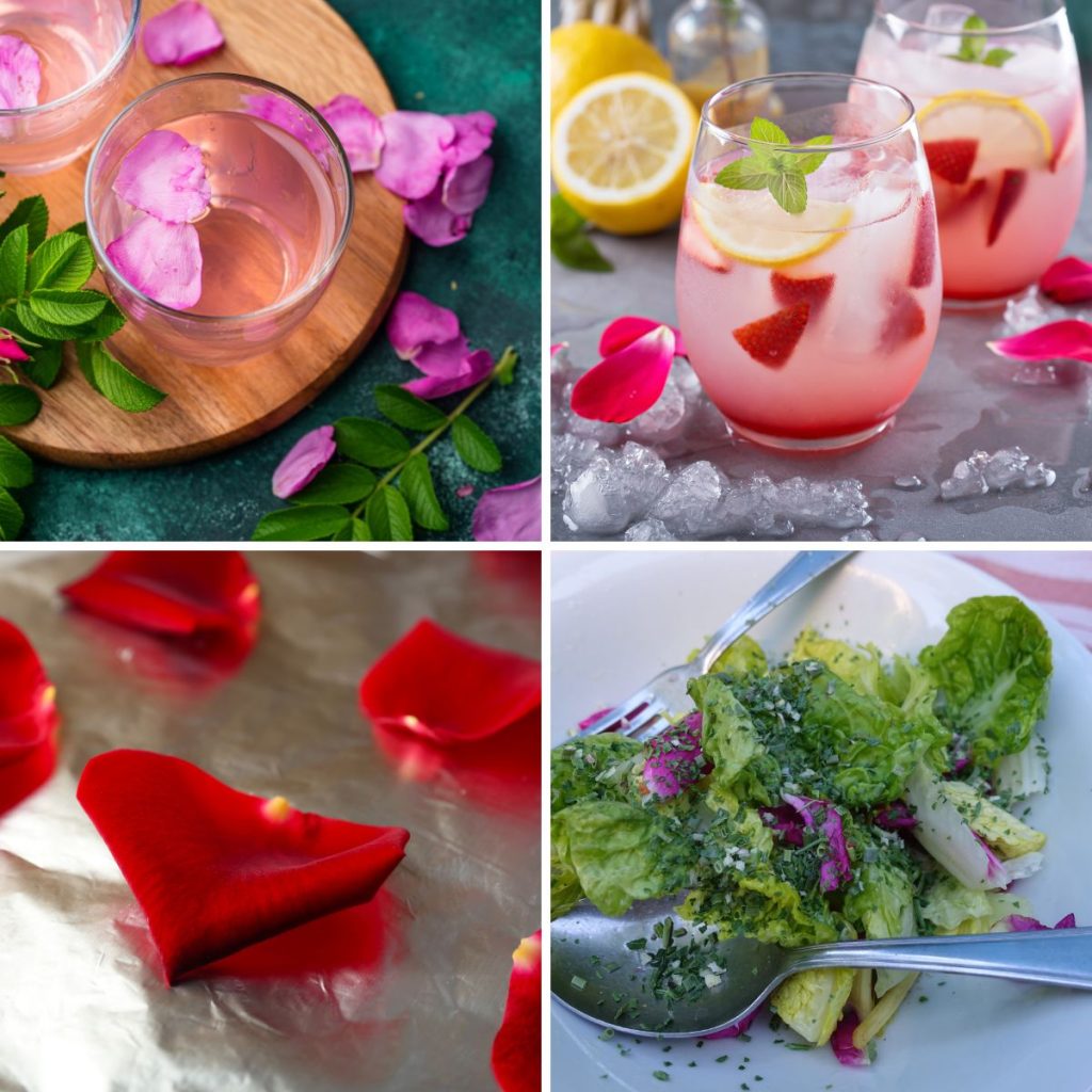 Are all Roses Edible? Discover History and Uses - GardensAll