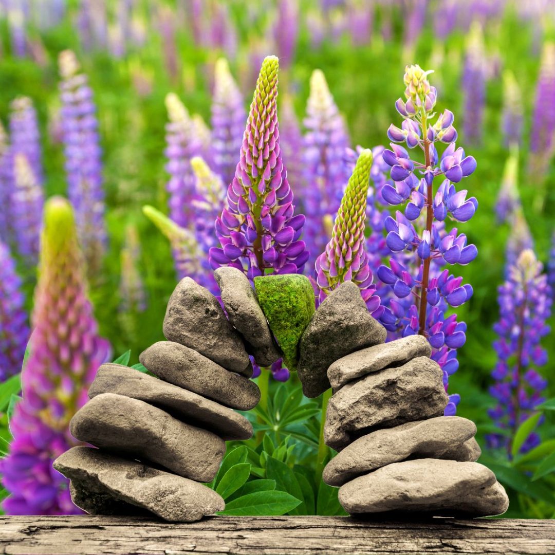 Some Keystone Plants and Wildflowers to Know and Grow - GardensAll