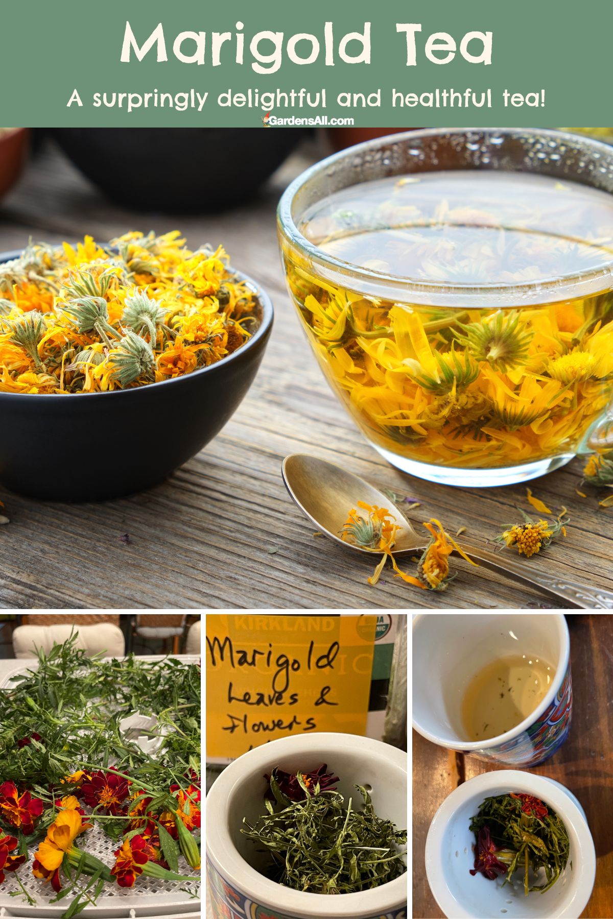 Marigold Tea: A Confluence of Tradition and Health - GardensAll