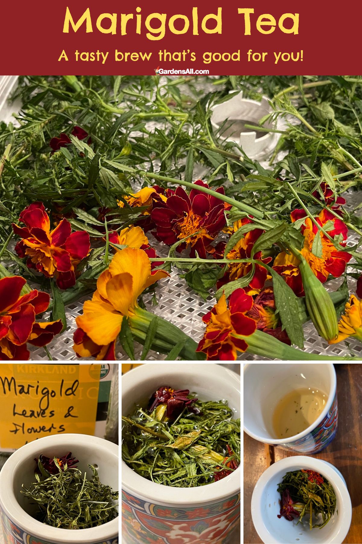 Marigold Tea: A Confluence of Tradition and Health - GardensAll