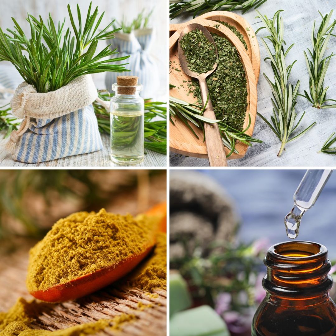 Dried Rosemary vs. Fresh Rosemary: Which is Better? - GardensAll