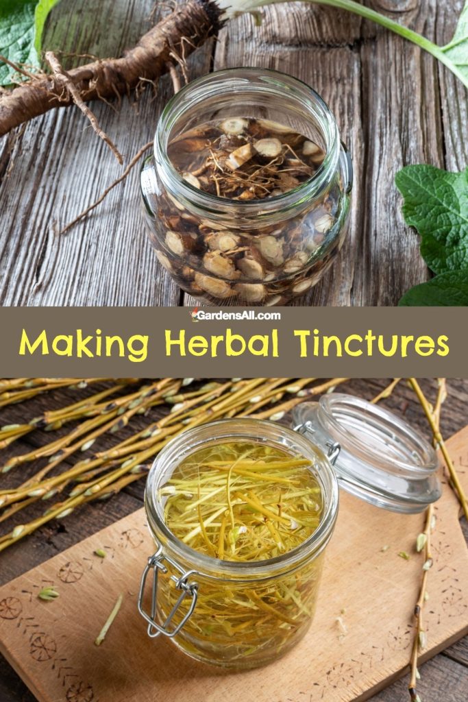 How to Make Tinctures From Herbs & Other Plants - GardensAll