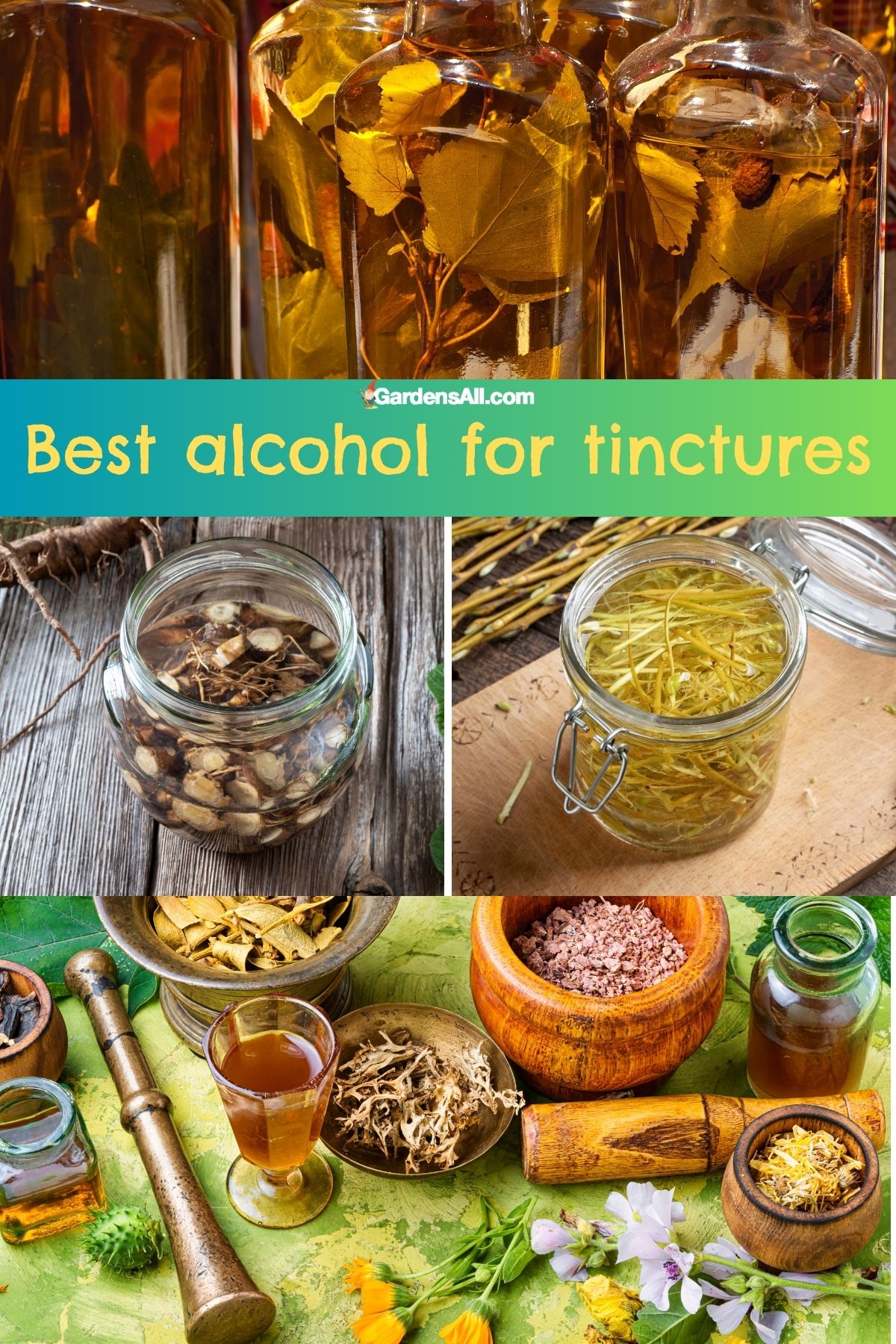 What is the Best Alcohol for Tinctures? - GardensAll