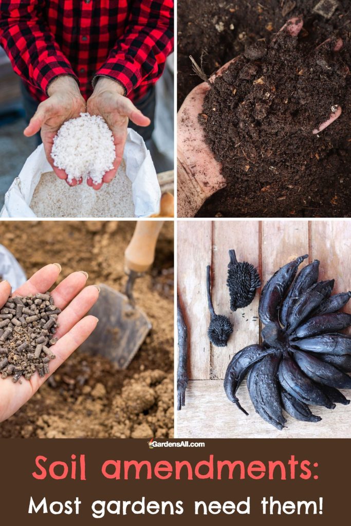 Vegetable Garden Soil Amendments & Why You Need Them - GardensAll
