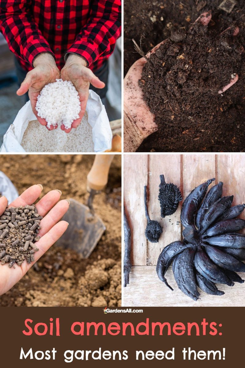 Vegetable Garden Soil Amendments & Why You Need Them - GardensAll